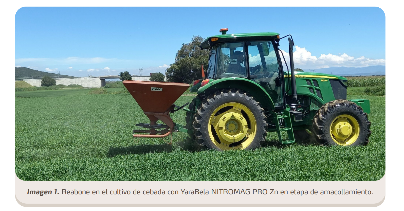 Importancia de la fertilización nitrogenada (reabone) en cebada maltera ...