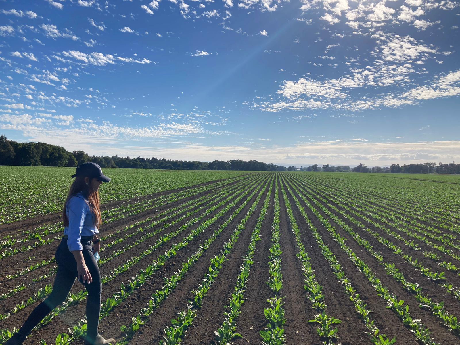 Yara Portal Clientes | Yara México