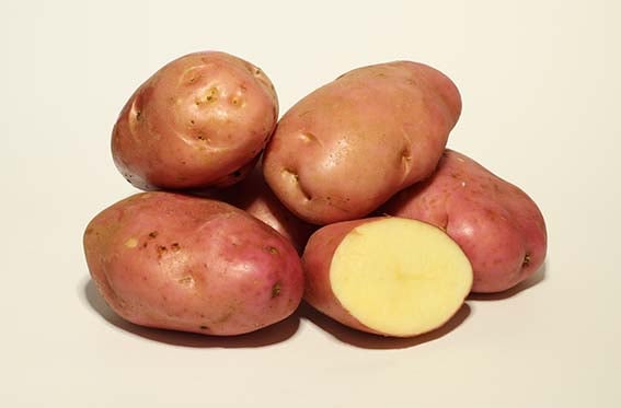 Incrementar el tamaño del tubérculo en papas | Yara México
